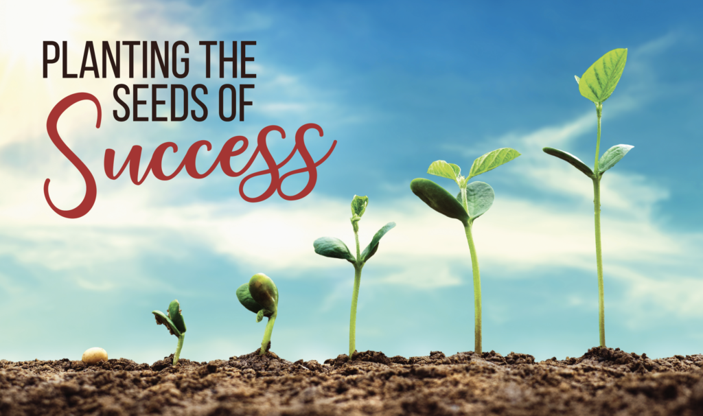 Planting the Seeds of Success: Guide For Startups | Marmara Credit Loops